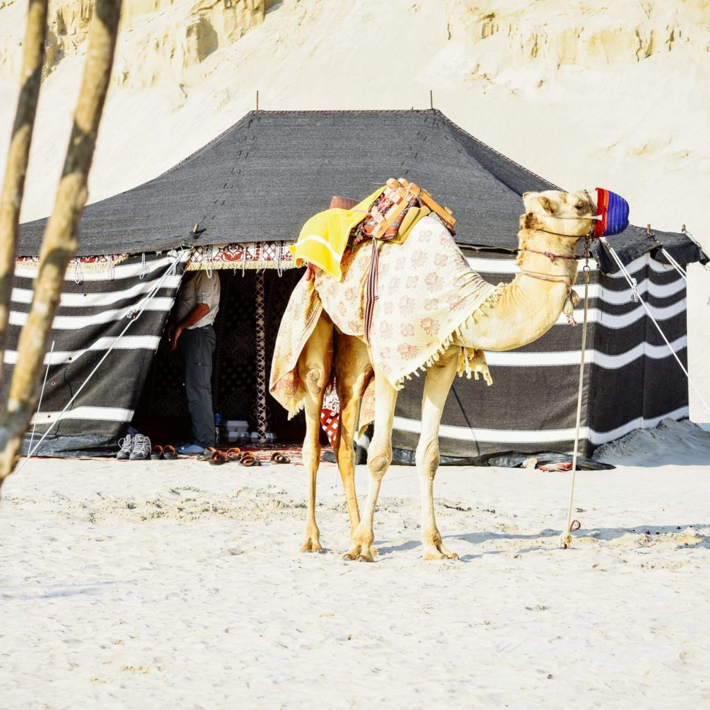 Private Camping & Overnight Stay in Doha Qatar